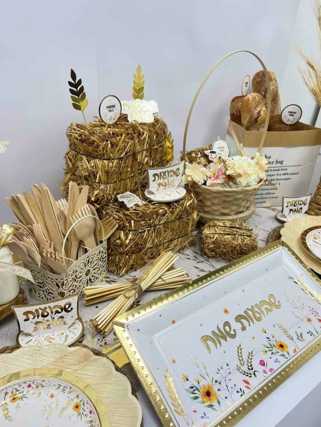 חדש על המדף - ג'רוזלם טיימס| jerusalem-times